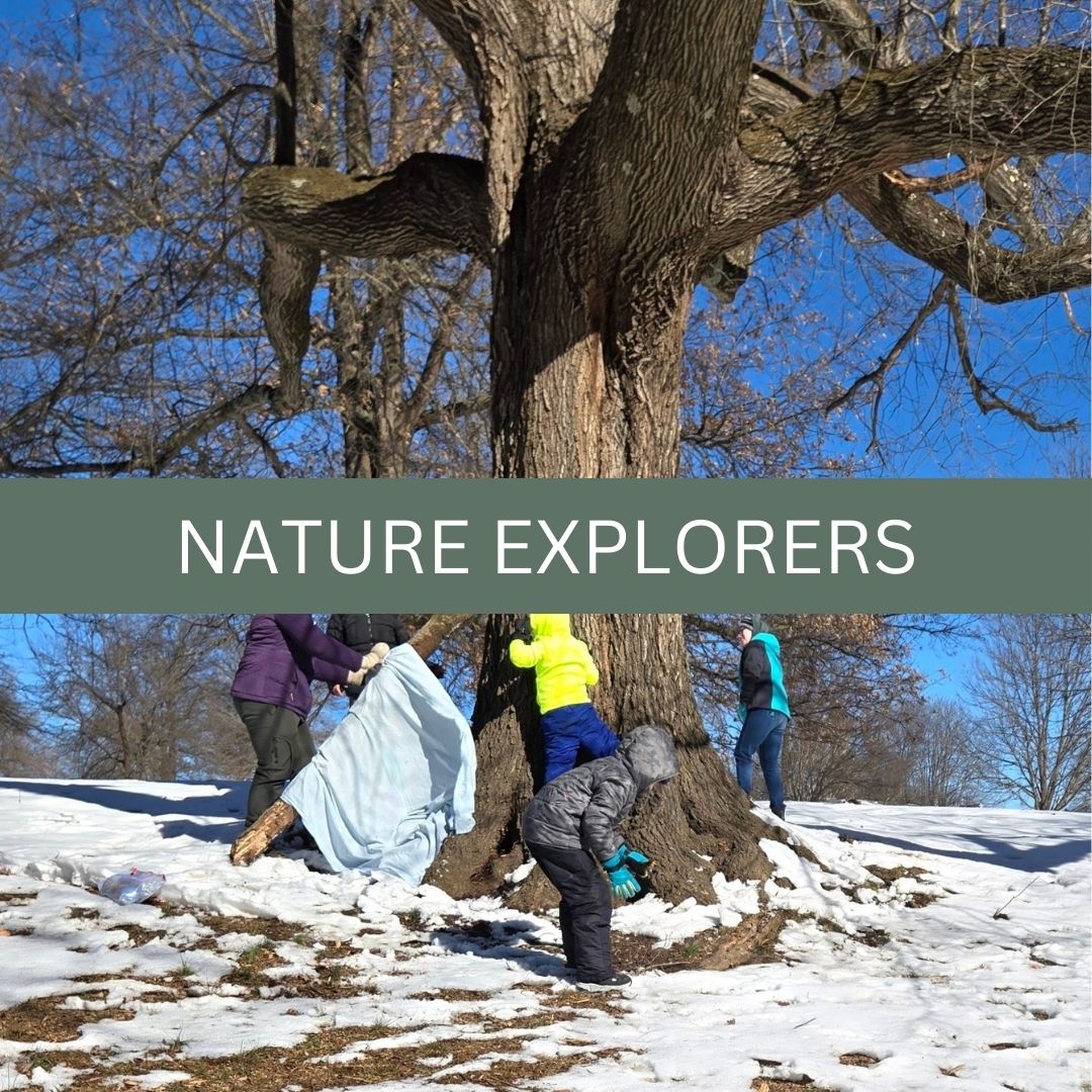 Nature Explorers – Nourished Oaks: nature based adaptive homeschool group